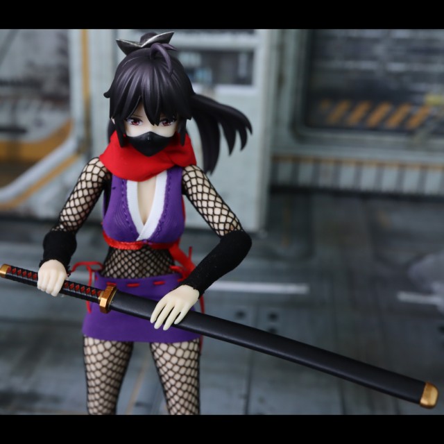 HASUKI pocket artシリーズ PA002 女忍 萩 & 1/12用 CS004 ボアフリースパーカーセット レビュー | レゴ箱 ...